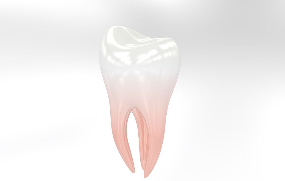 „An jedem Zahn hängt ein ganzer Mensch“ – Schildverlag